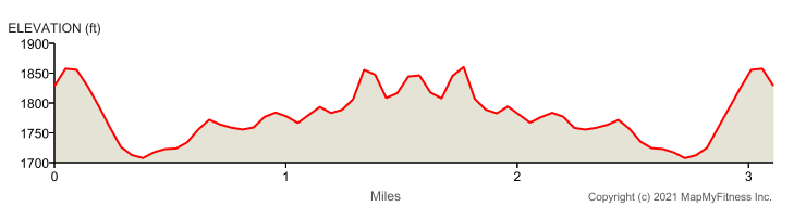 Fire Fest Ultra - Triple Dare Running Co.